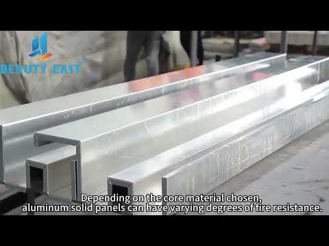 Prefessional in Aluminum Solid Panel for 20 years