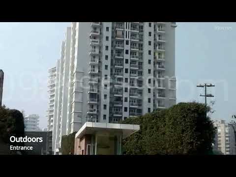 DLF The Icon DLF Phase 5, Gurgaon Resale Price List, Brochure, Floor ...