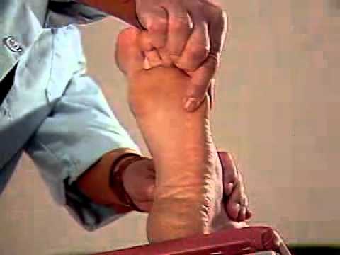 IVMS ICM -MS-06 Feet and Ankles Examination