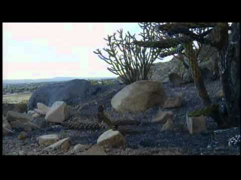 Men who sparked Foothills fire could be forced to pay costs