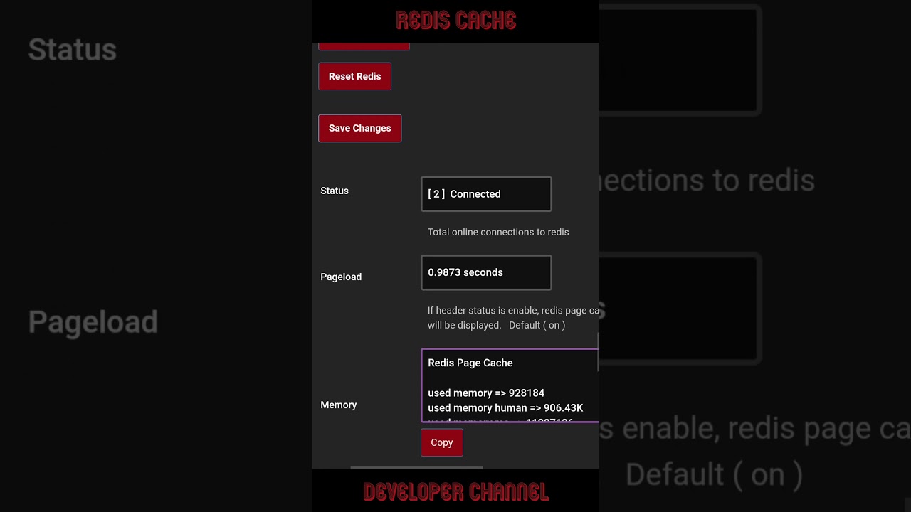 Wordpress Cache Plugin • Redis Page Object Cache Pro Review #1