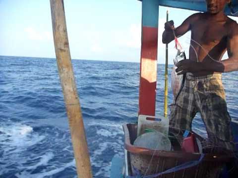 Sri Lanka,ශ්රී ලංකා,Fishing Trip on a Trawler:Tuna Line Fishing