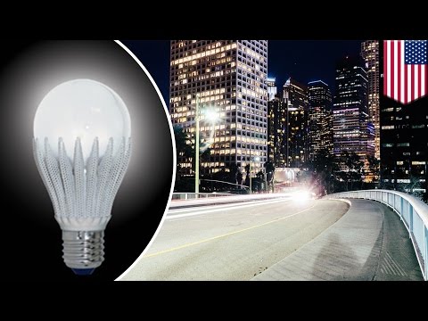 Everything You Had To Understand About Green Energy | Save Our World ...