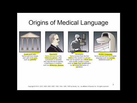 Four Origins of Medical Language and Two Categories of Medical Terms