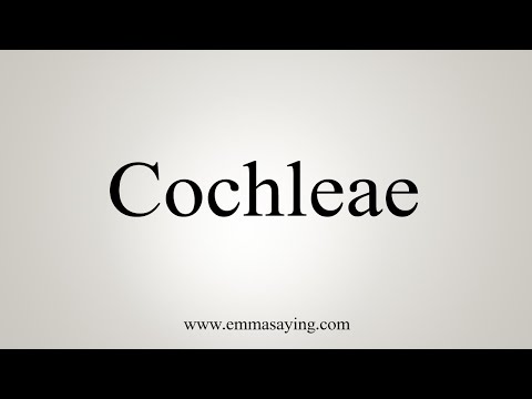 How To Say Cochleae