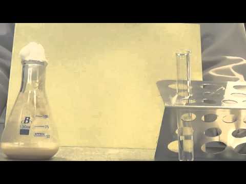 Fermenting Yeast