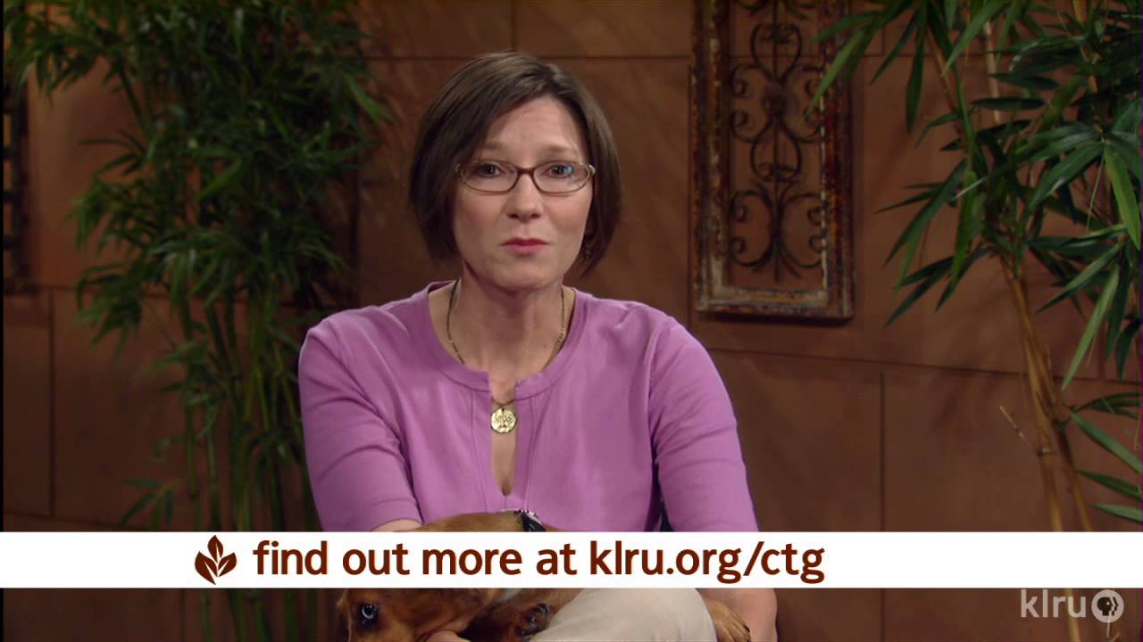 June bug control | Daphne Richards | Central Texas Gardener