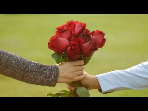 Red Roses & Valentine’s Day  | Floriography  || Greek Mythology