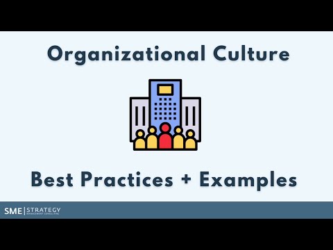 Organizational Culture: Best Practices & Examples