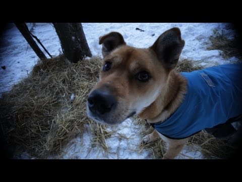 YQ 2012 - Halfway Dawson City