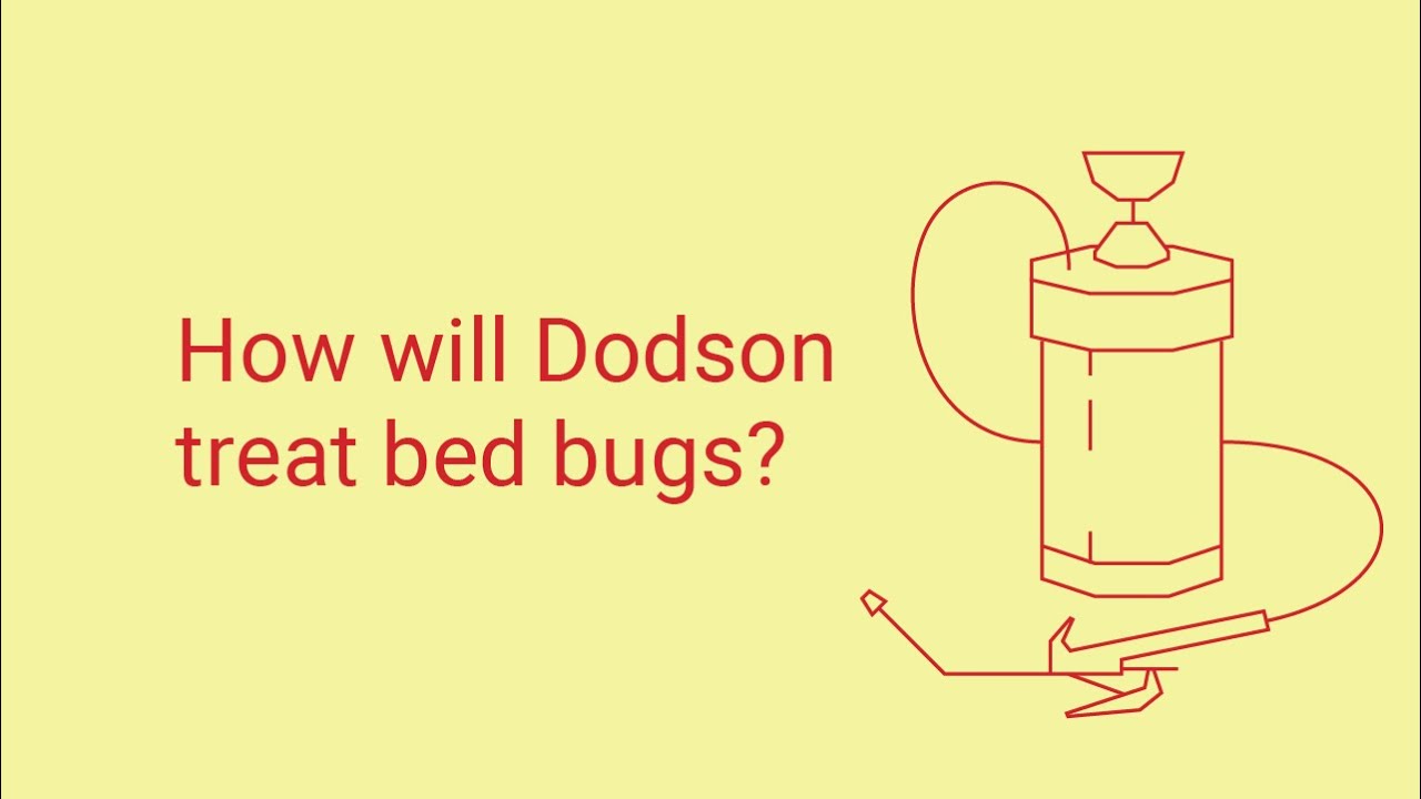 Professional Bed Bug Treatment