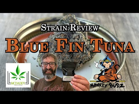 Strain Review - Blue Fin Tuna - Monkey Budz