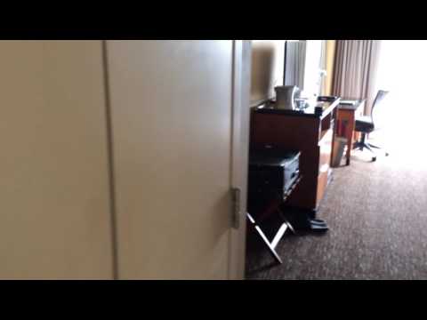 BWI Hilton