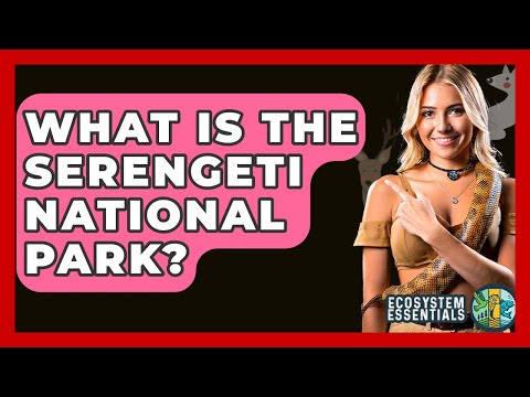 What Is The Serengeti National Park? - Ecosystem Essentials