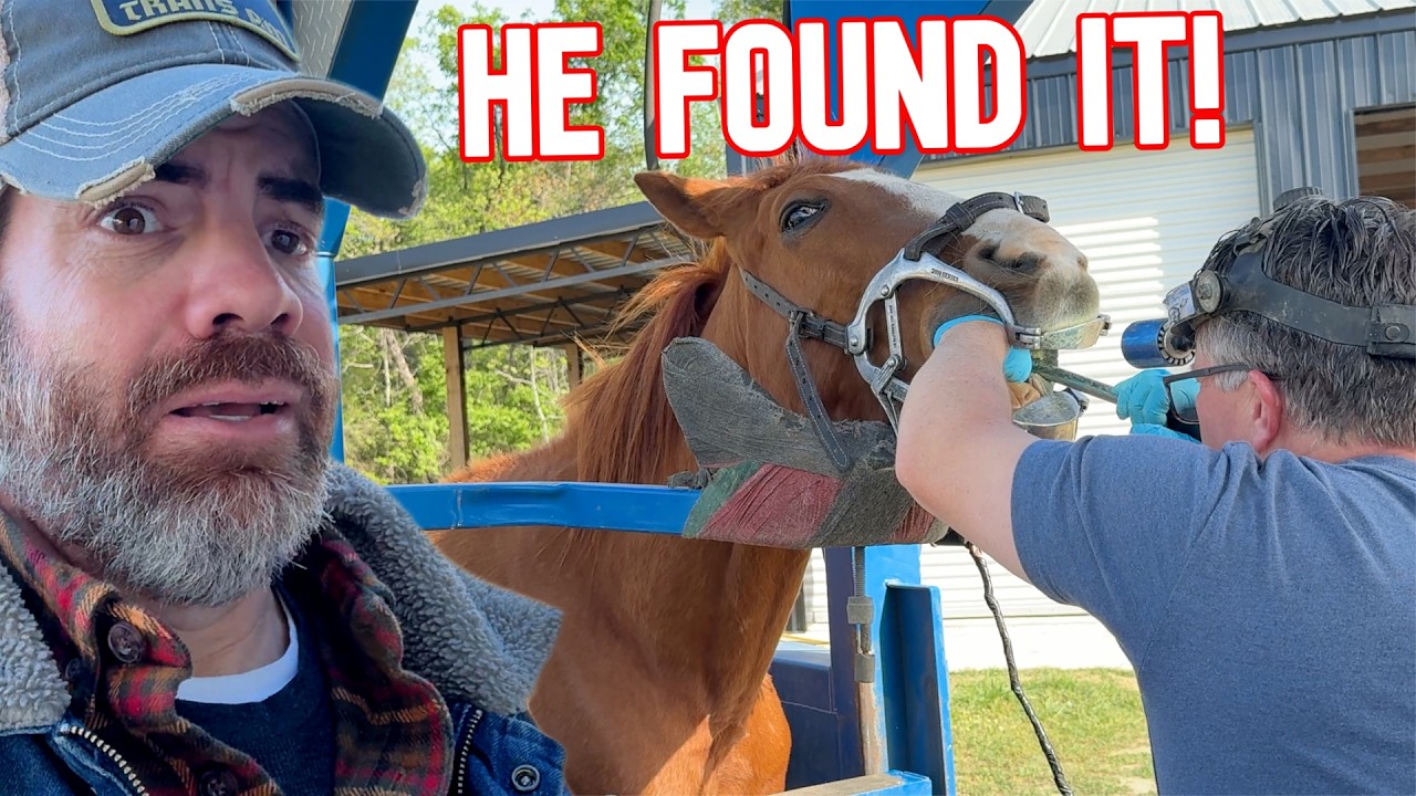 This Tiny Hidden Problem Was Causing Big Trouble!