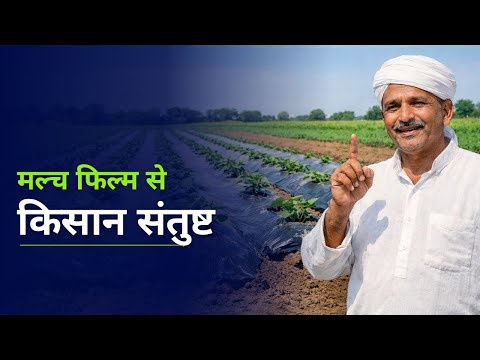 Mulching Film - Mulch Film Latest Price, Manufacturers & Suppliers