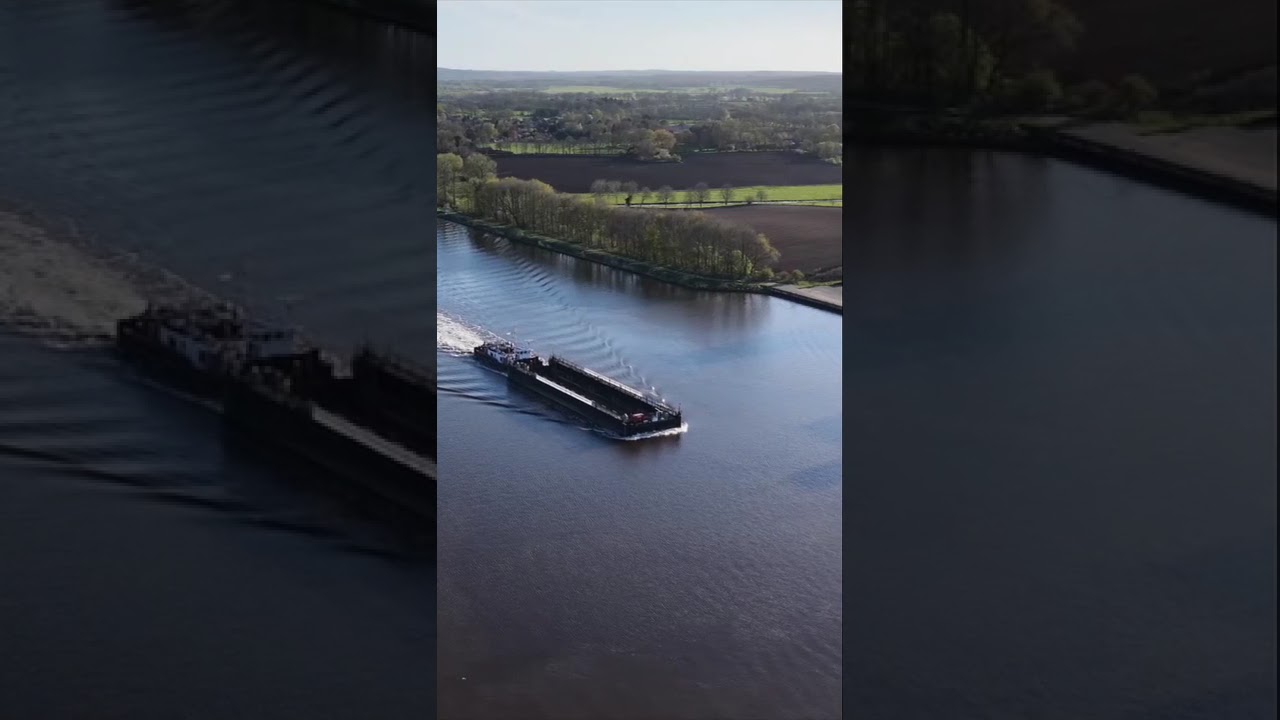 Wal vor Poel: Bringt der Lastkahn diese Woche die Rettung?