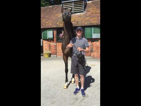 Ditcheat Thoroughbreds Racehorse Syndicate Orbasa with Harry Derham
