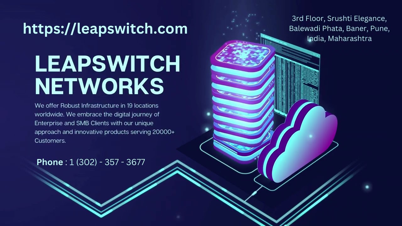 LEAPSWITCH NETWORKS