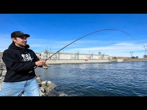 Walleye Fishing By a Massive Dam! (INSANE BITE)