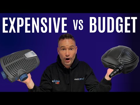 Pond Pump Pitfalls: Avoid This Common Mistake in 2024 - Expensive vs Budget