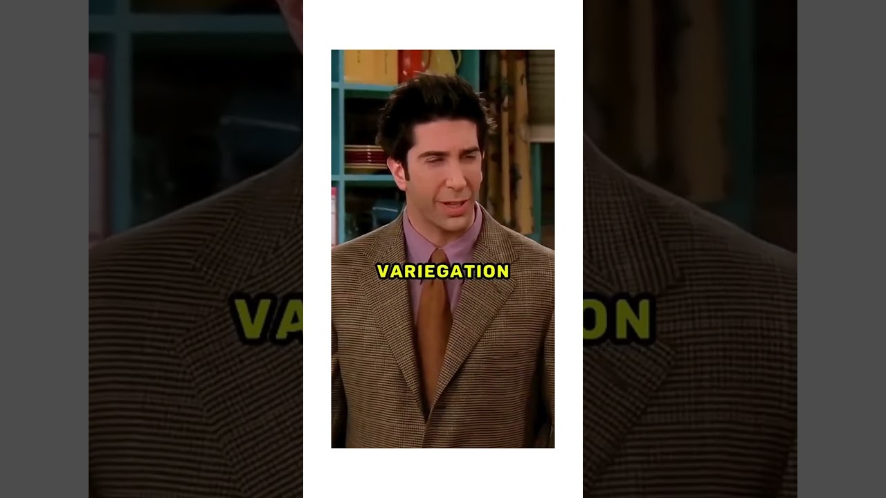 F R I E N D S Ross introduce Charlie #friends #bingeworthycomedy #chandler #funny #comedy #ross