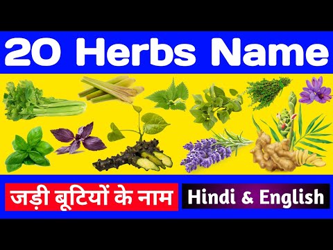 20 herbs name, 20 जड़ी बूटियों (औषधियों) के नाम, herbs name, herbs plants, medicinal plants name