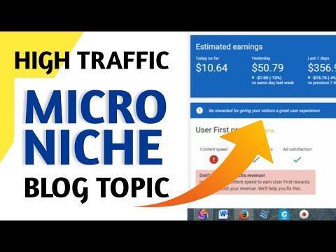 Micro niche blog | Micro niche blog topics | Micro niche blog ideas | Micro Niche Website 2021