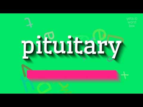 How to say "pituitary"! (High Quality Voices)
