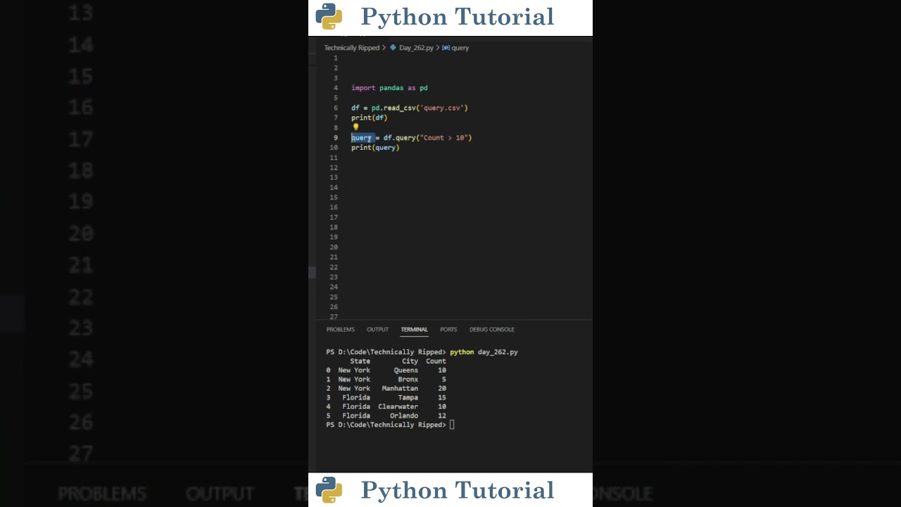 Querying A Pandas Dataframe | Python Tutorial