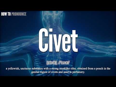 Civet Pronunciation | How to Pronounce (say) Civet CORRECTLY | Meaning Definition