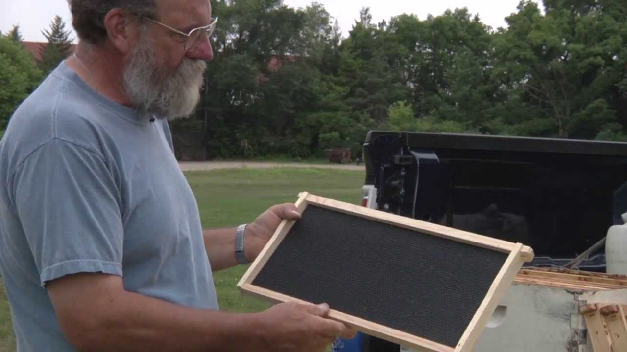 On frames and foundation