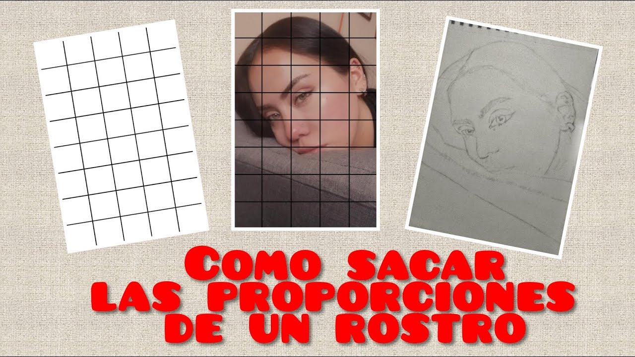 Como sacar las proporciones de un rostro 🤔