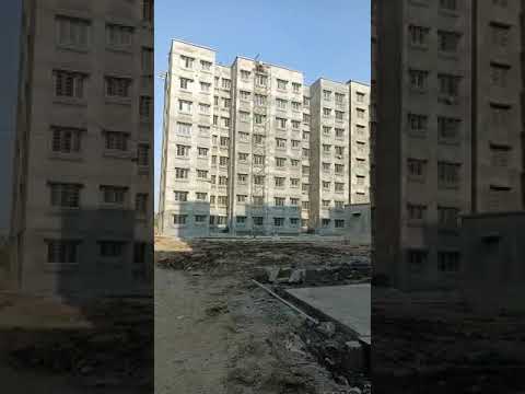 current status at shirdhon kalyan 270 scheme code