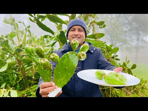 Cactus Fruit | Prickly Pear | How to Cut & Eat | Mubashir Saddique | Village Food Secrets