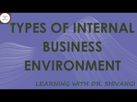 Types Of Internal Business Environment