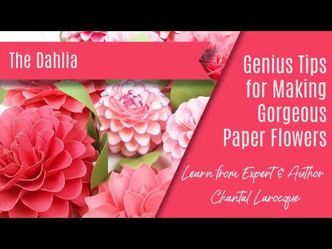 The Dahlia Video Tutorial