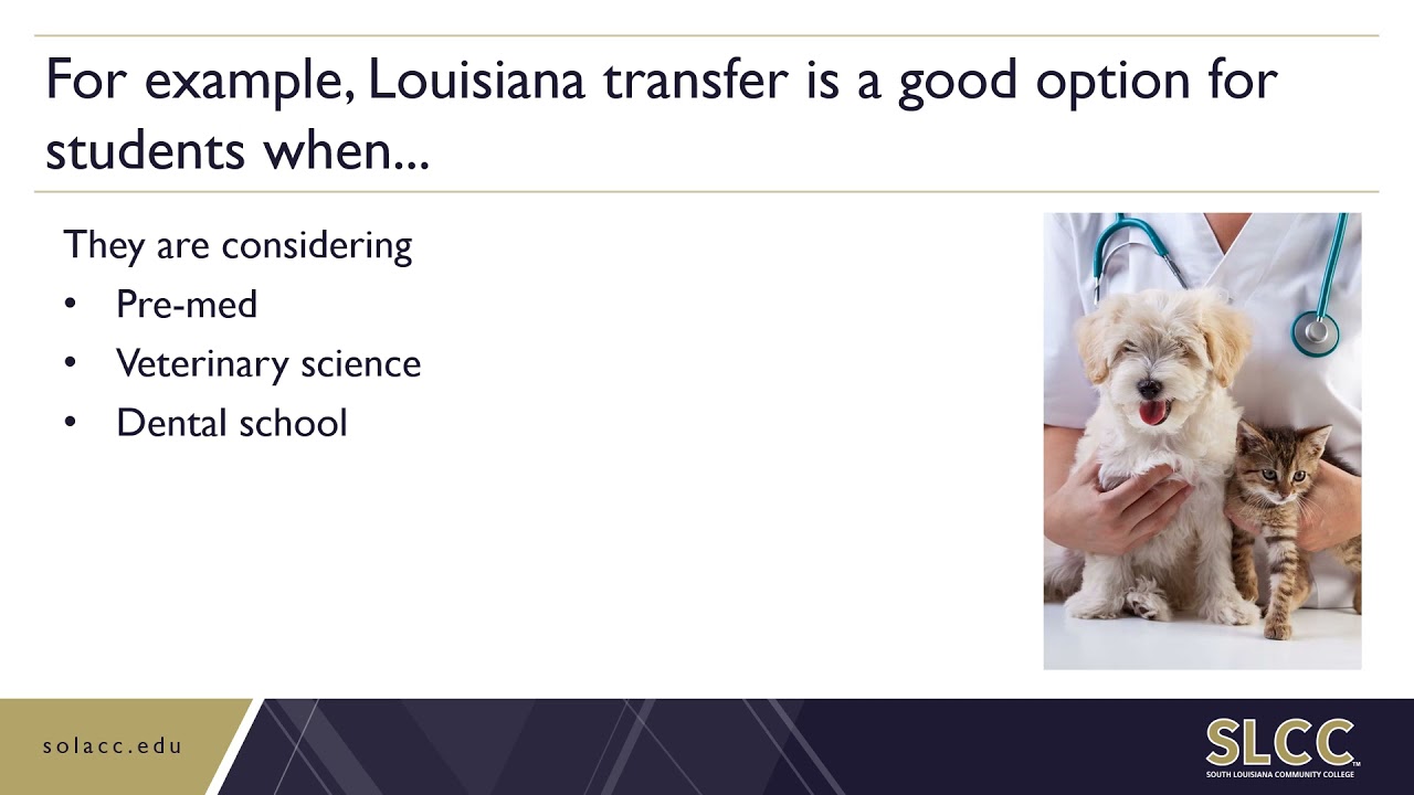 Learn more about SLCC's Transfer programs.