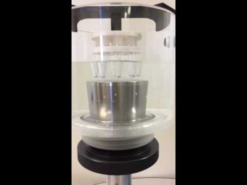 Ultrasonicator - Ultrasonic Sonicator Latest Price, Manufacturers ...