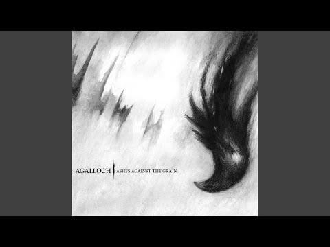 Not Unlike The Waves (2016 - Remaster)