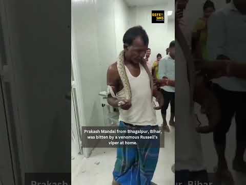 Bihar Man’s Brave Encounter with Russell’s Viper Goes Viral: Catches Snake After Bite #viralshorts
