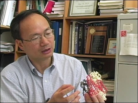 Dr. Haian Fu explains what the role of 1433 is in normal cells