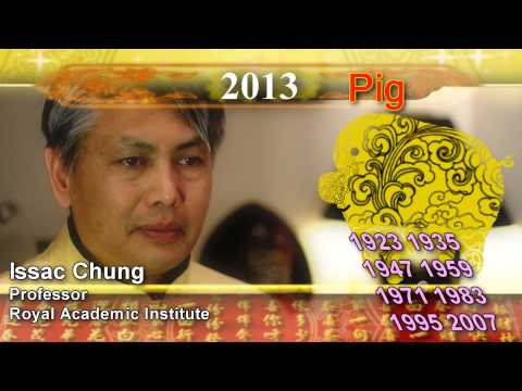 2013 Chinese new year predictions for 12 animals - pig