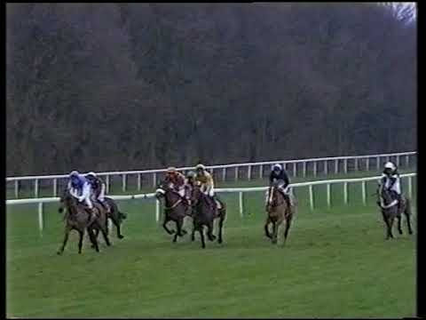 Grand National Trial 2025 (Haydock) | Mull It Over