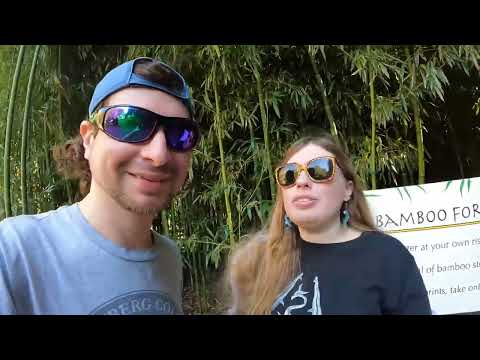 Fantastic Umbrella Factory - Charleston, Rhode Island (Shops, Zoo, and BAMBOO!!!)