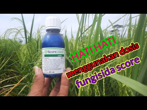 hati hati menggunakan dosis fungisida score