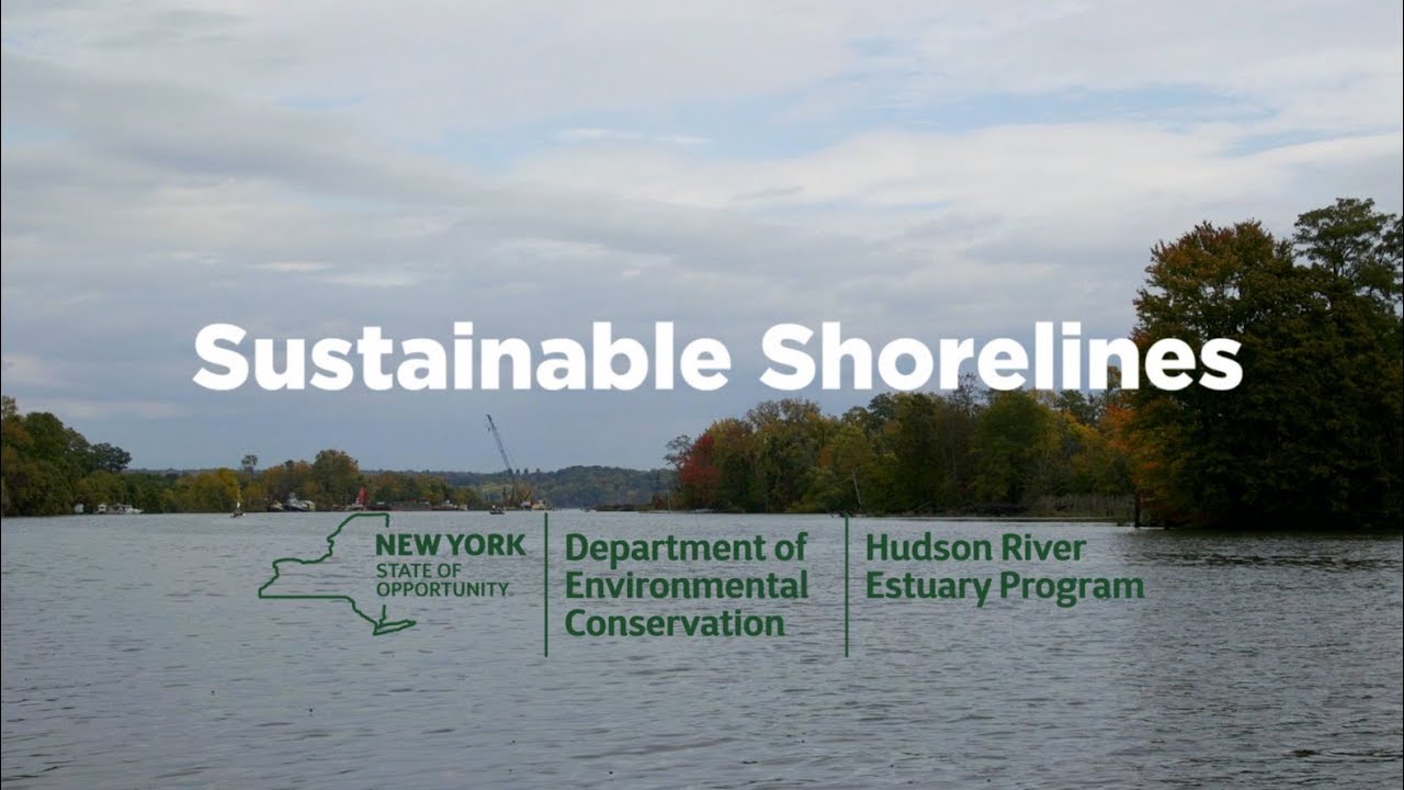 Sustainable Shorelines