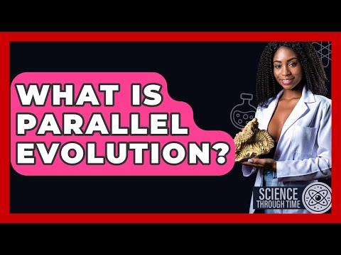 What Is Parallel Evolution? - Science Through Time