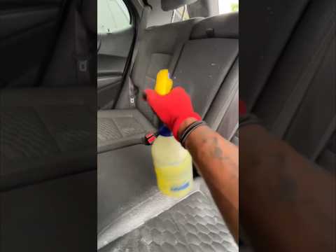 How to Build Your Detailing Business | Mobile Detailing #mobiledetailing #carcleaning #cardetailing