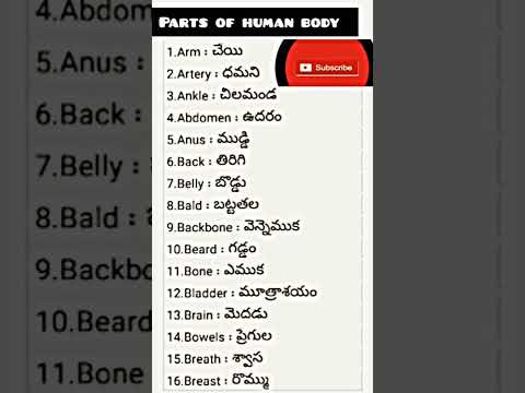 Human Body Part s|| Meaning s In Telugu 📄 Learning video 📸